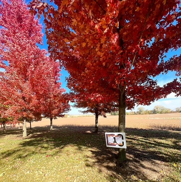 Local residents enjoyed a fall day for an Afternoon Tree Walk – The ...