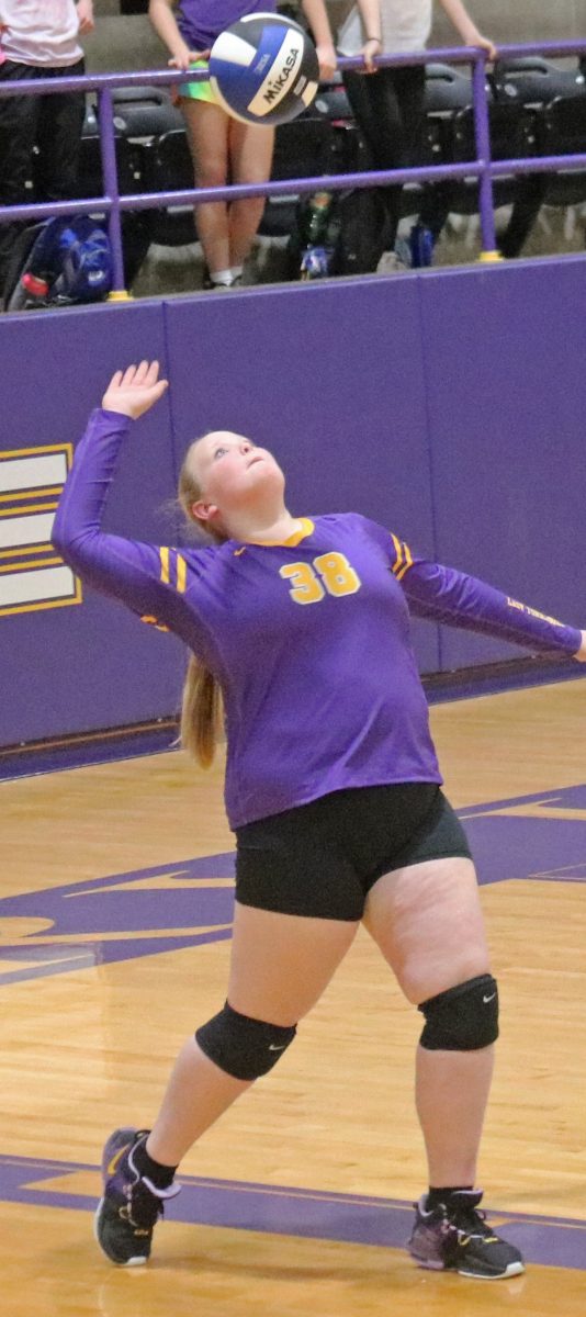 TJHS falls to Mahomet-Seymour in Sectional Championship – The Breeze ...